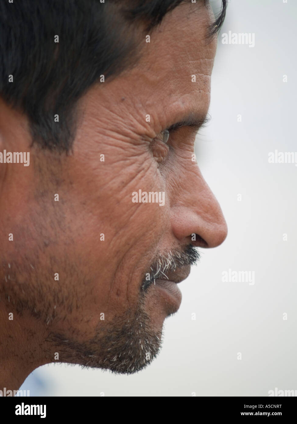 Man face beard profile hi-res stock photography and images - Alamy