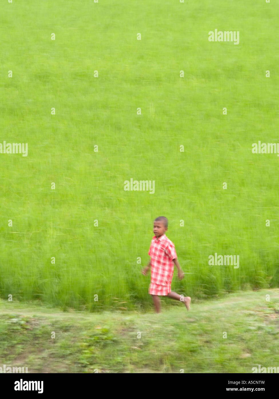 Play field hi-res stock photography and images - Alamy