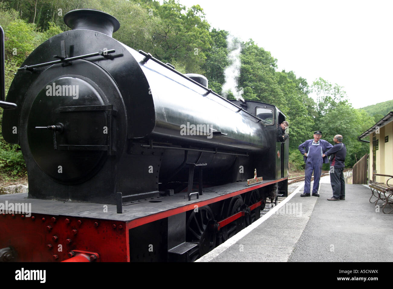 30th August 2006. The Welsh Guardsman 0-6-0 saddle tank engine, made by ...