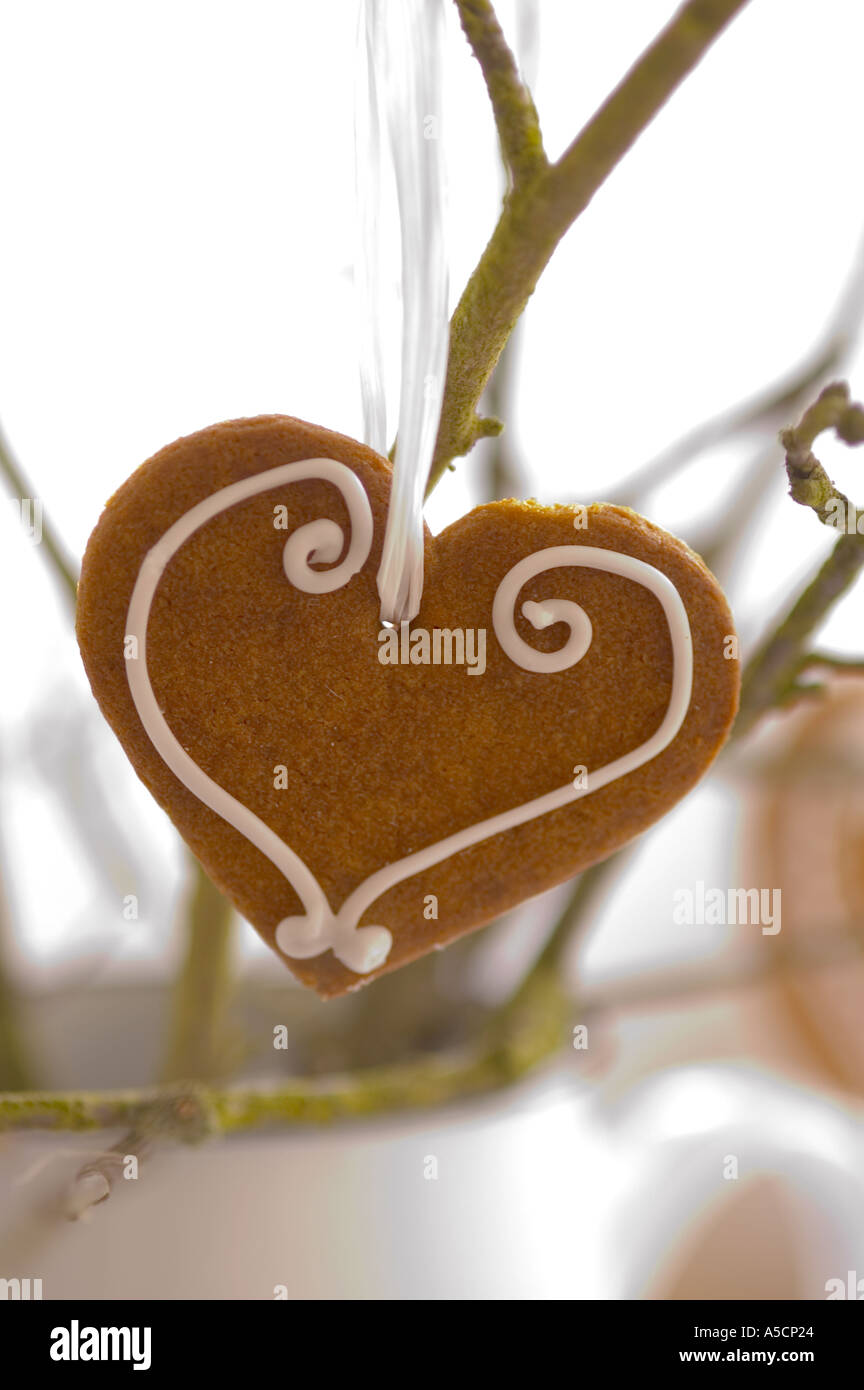 Ginger heart shaped cookie as decoration hanging from white ribbon ...