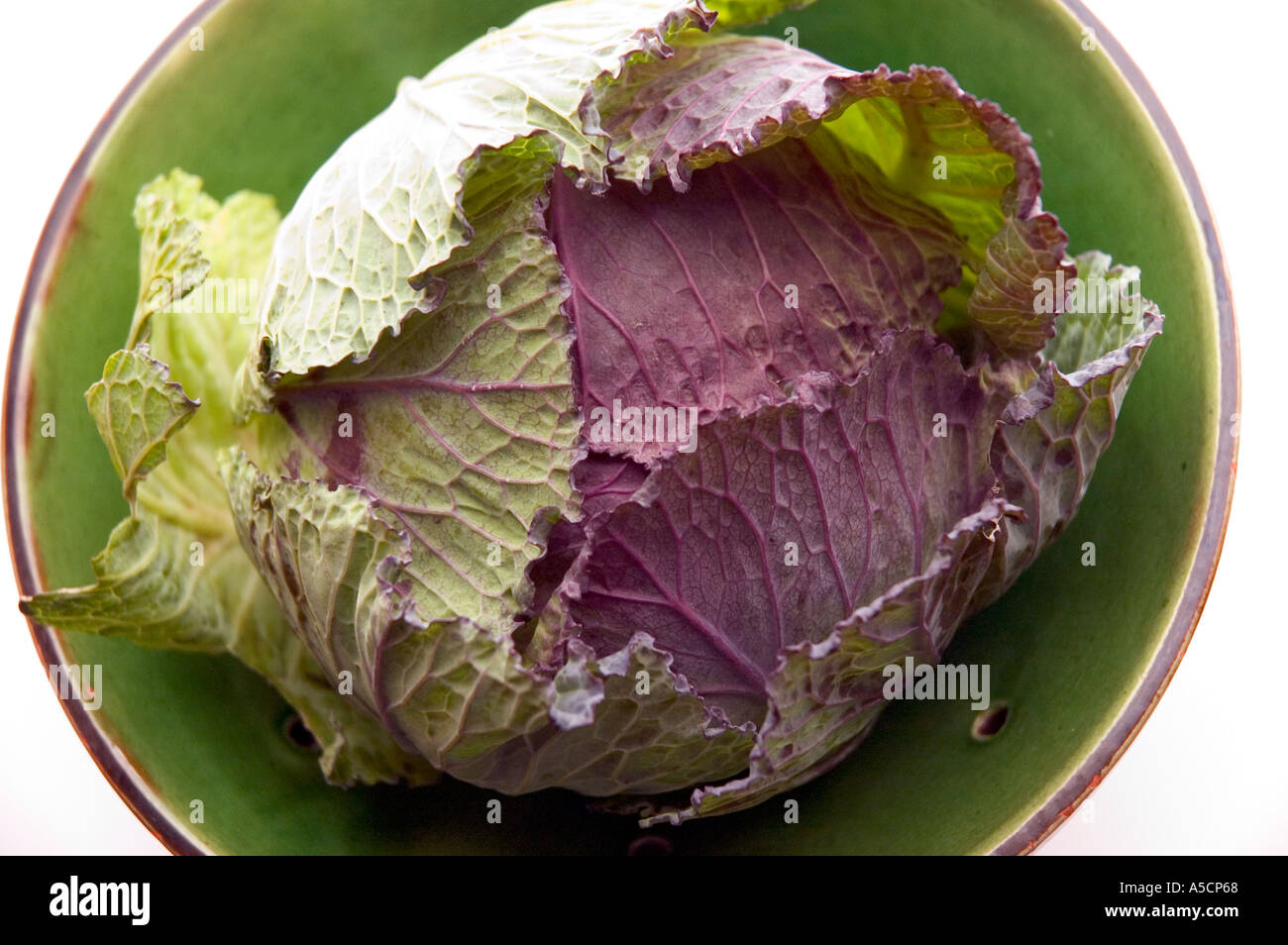 Organic cabbage head Stock Photo - Alamy