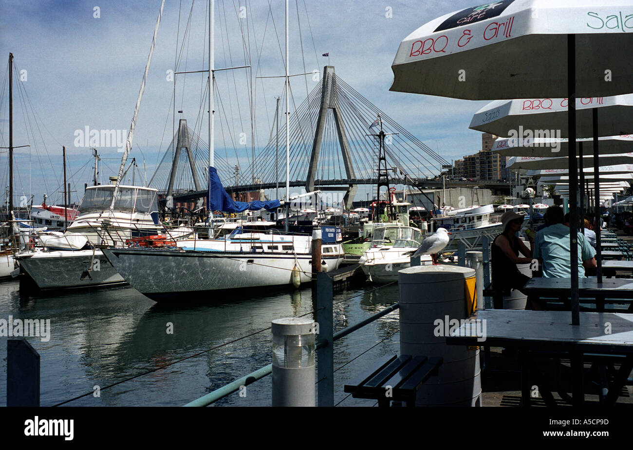 Sydney fish market cafe hi-res stock photography and images - Alamy