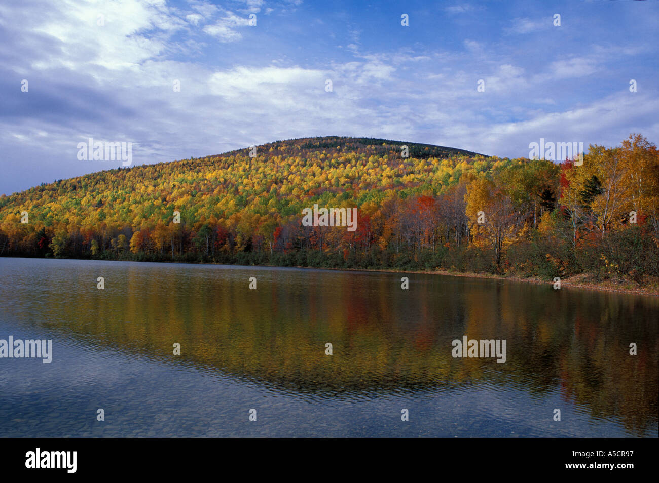 Lower South Branch Pond Baxter S P ME Mountain Pond Fall Foliage Stock ...