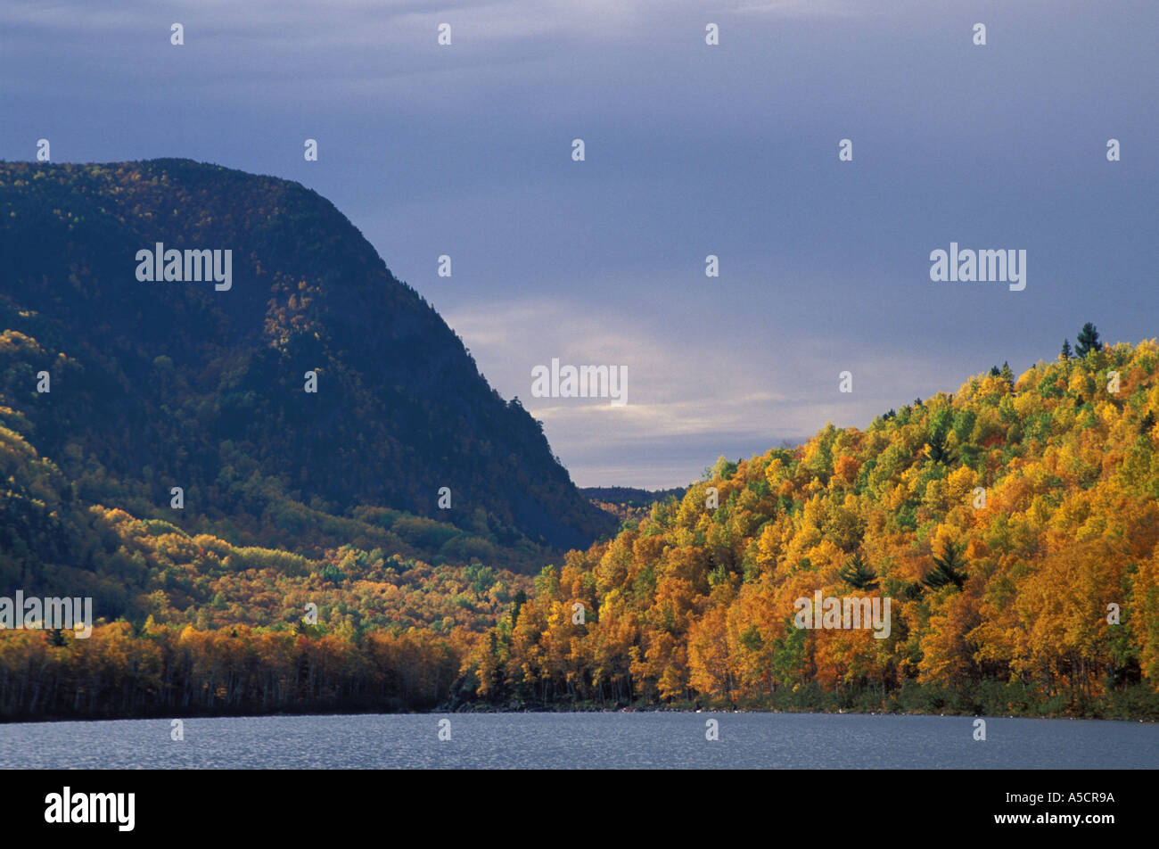 Lower South Branch Pond Baxter S P ME Mountain Pond Fall Foliage Stock ...