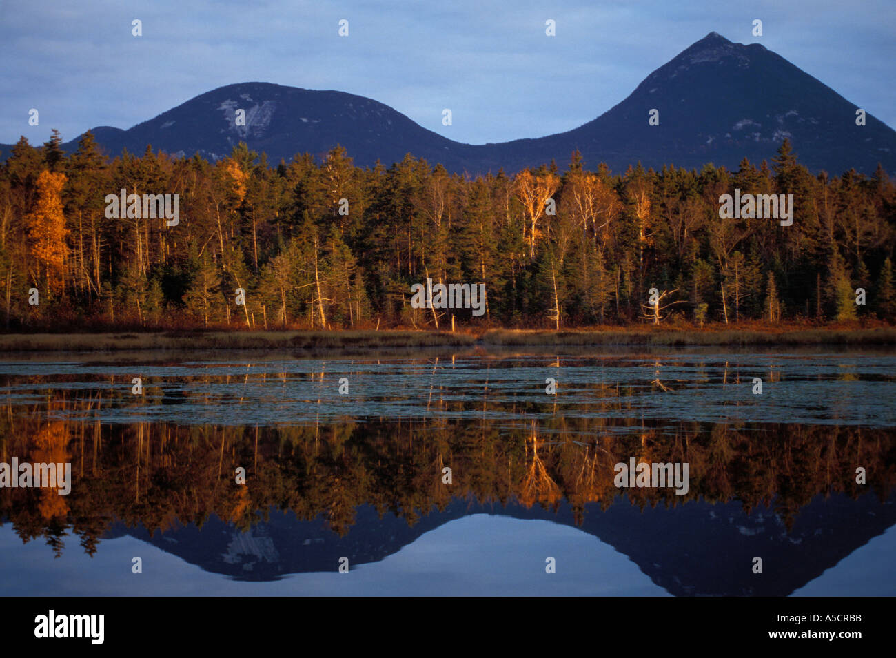 Baxter State Park ME Doubletop Mountain reflects in Kidney Pond Stock ...