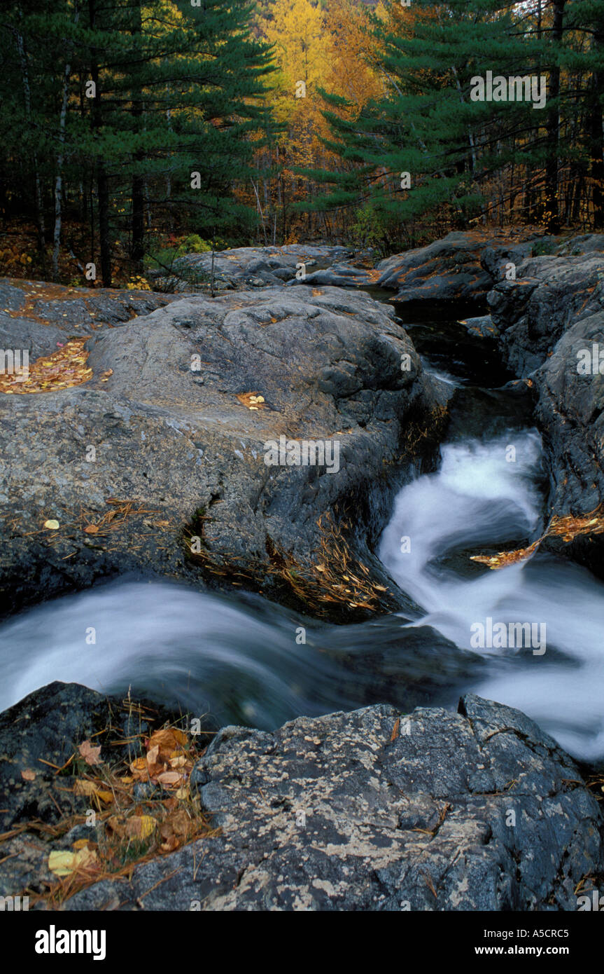 Howe Brook Baxter State Park ME A stream in fall Stock Photo - Alamy