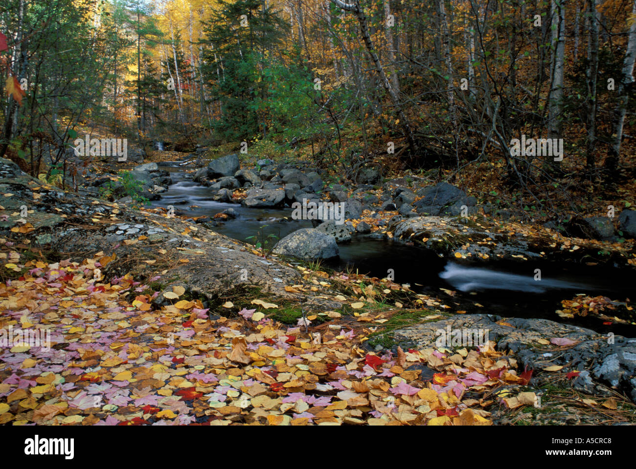 Howe brook hi-res stock photography and images - Alamy