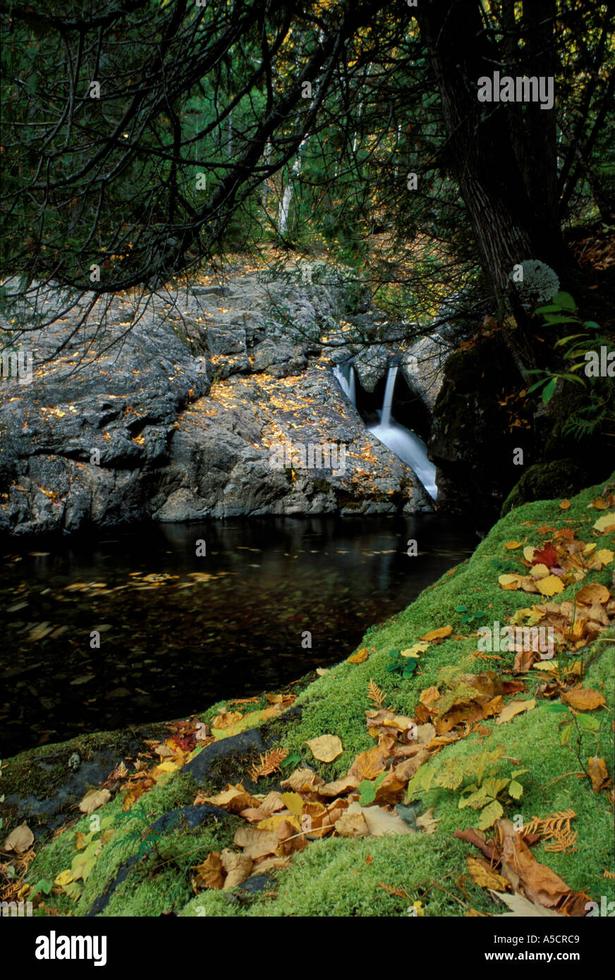 Howe brook hi-res stock photography and images - Alamy