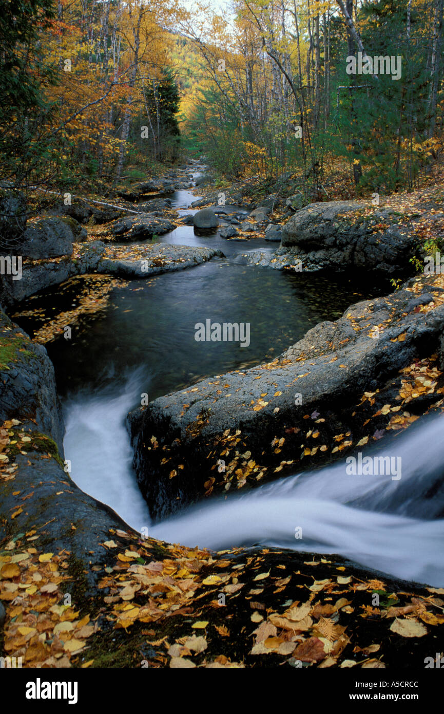 Howe Brook Baxter State Park ME A stream in fall Stock Photo - Alamy