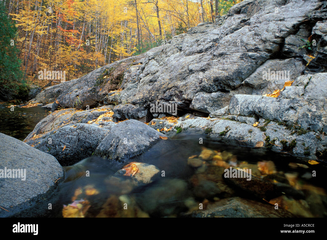 Howe Brook Baxter State Park ME A stream in fall Stock Photo - Alamy