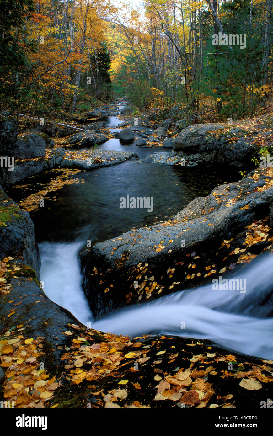 Howe Brook Baxter State Park ME A stream in fall Stock Photo - Alamy