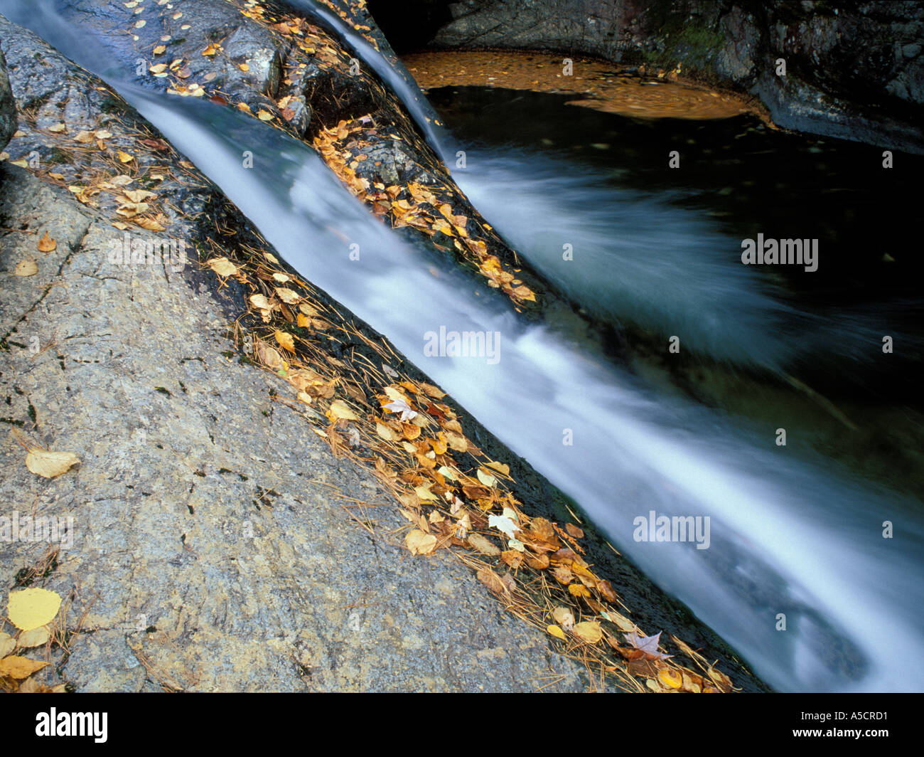 Baxter sp hi-res stock photography and images - Alamy