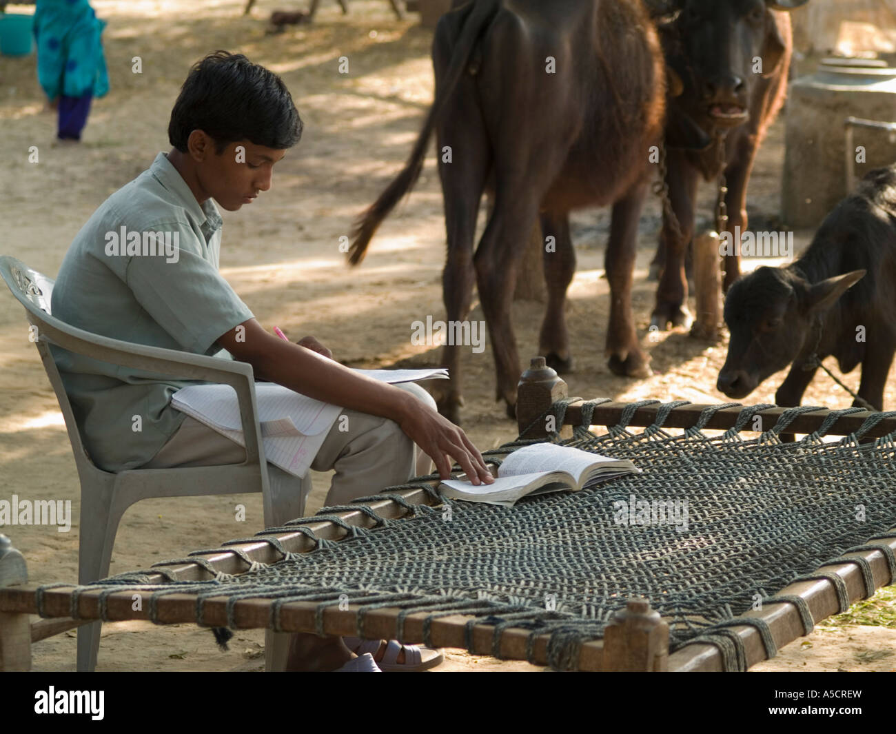 Village children study for school Stock Photo - Alamy