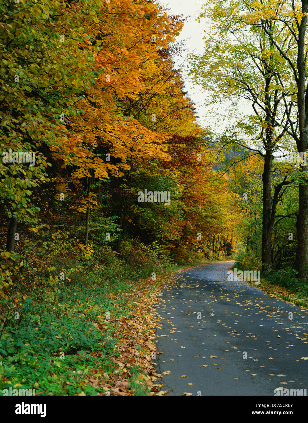 Autumn Road in Upper Franconia, Germany, Europe Stock Photo - Alamy