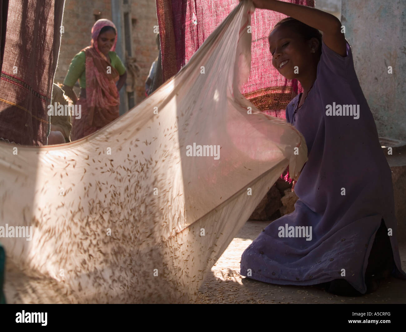 Husking rice to remove dirt and husks in rural area Stock Photo - Alamy