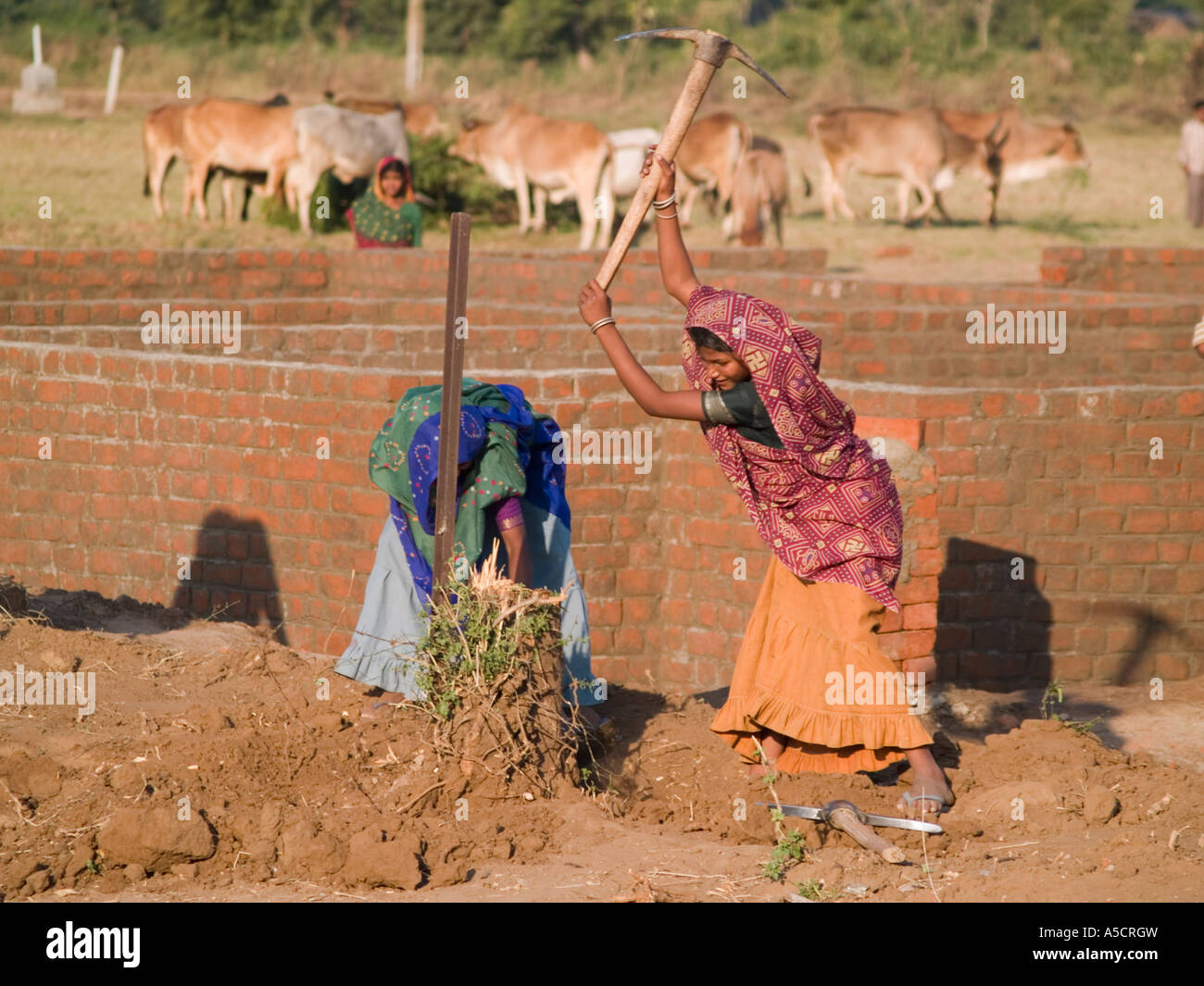 Women laborers at work in rural area Stock Photo - Alamy