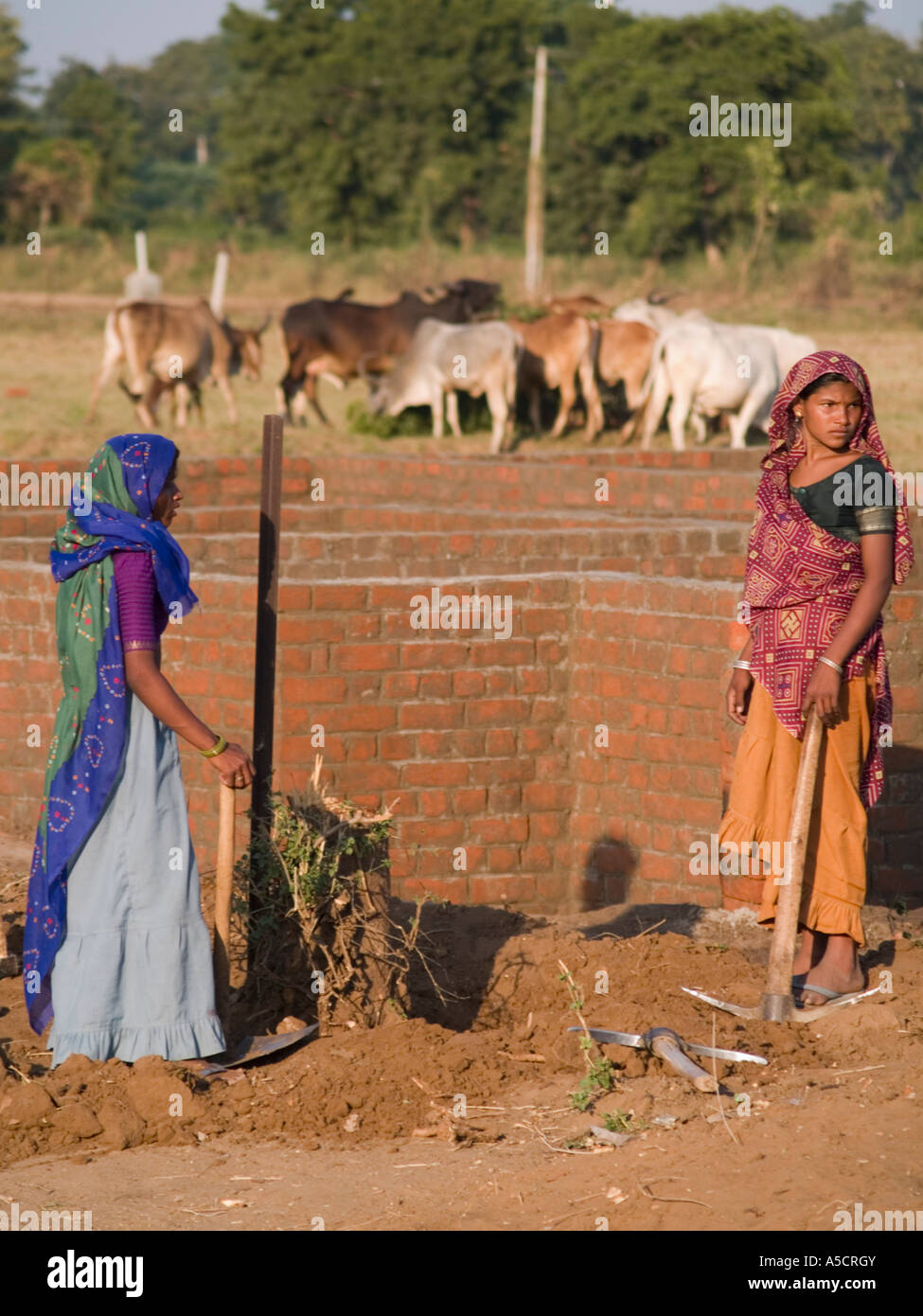 Women laborers at work in rural area Stock Photo - Alamy