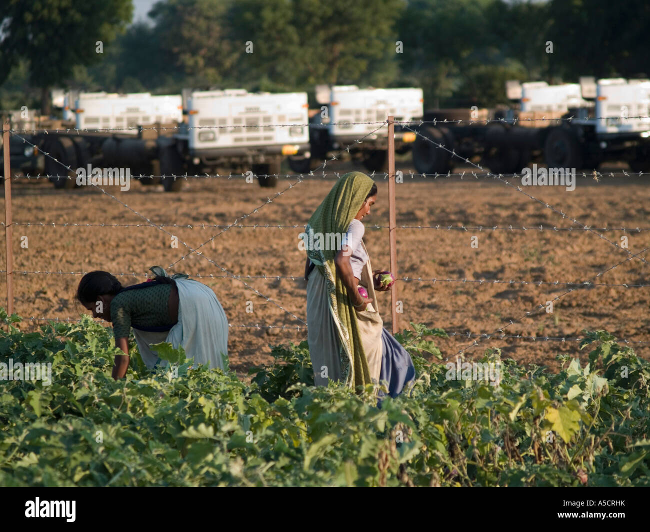 Farm workers contrast with truck chassis waiting to be finished in a ...