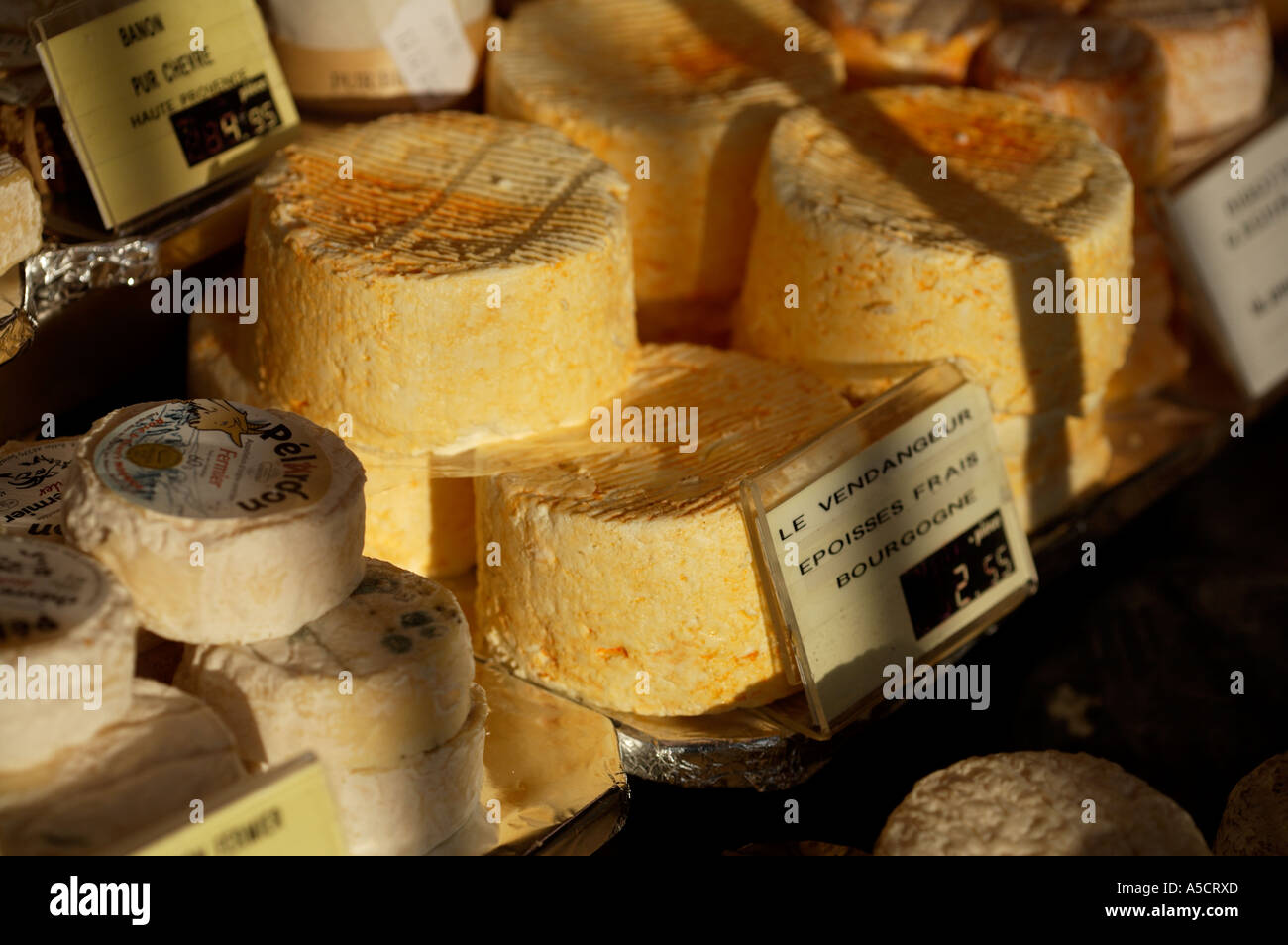 French cheeses for sale in a delicatessen Stock Photo - Alamy