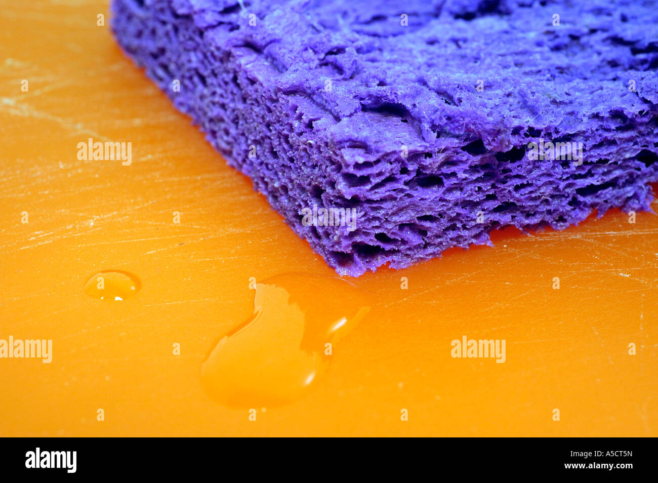 A dirty kitchen sponge breeding bacteria Stock Photo - Alamy