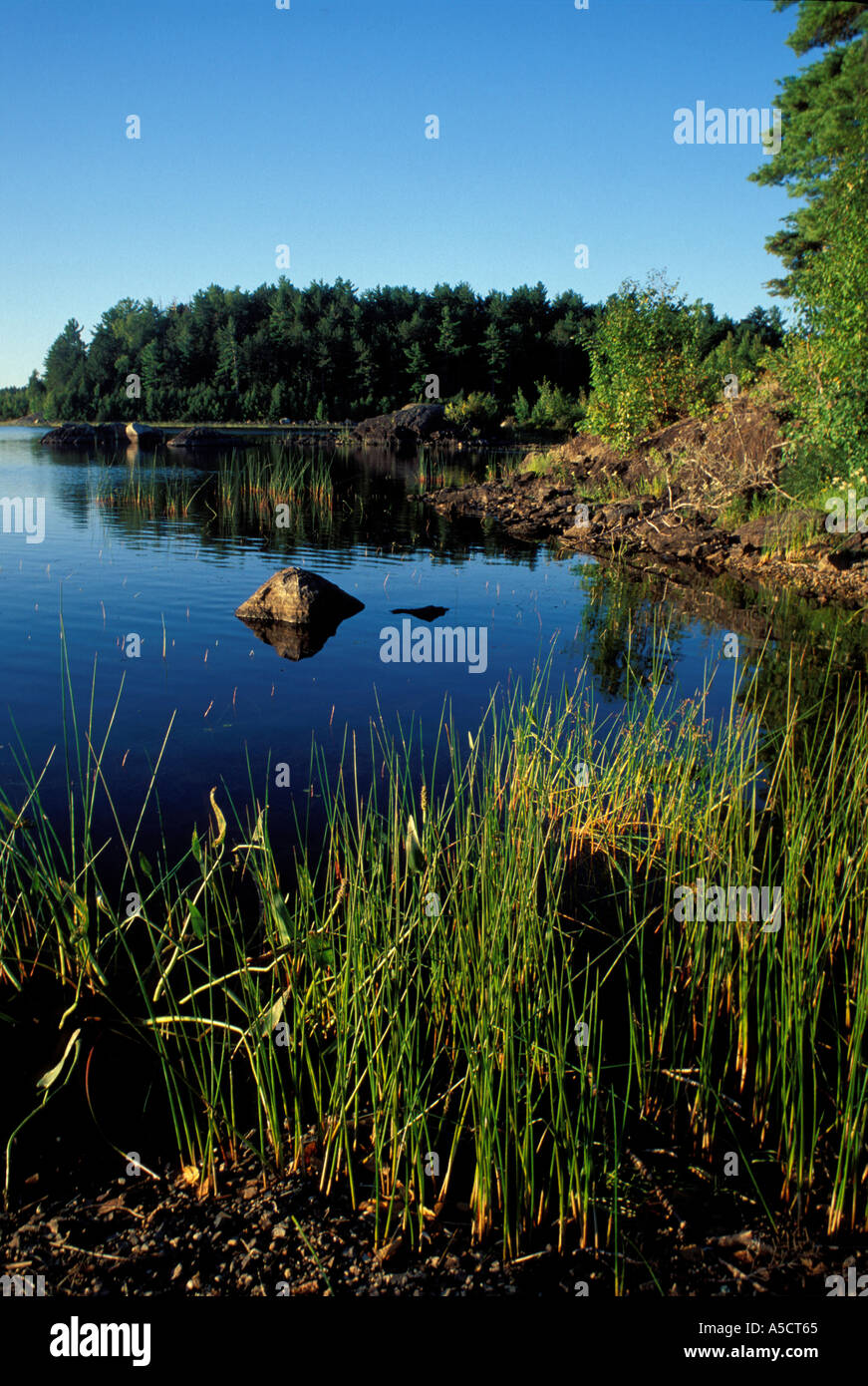 Third Machias Lake ME Northern Forest Early morning on the lake Stock ...