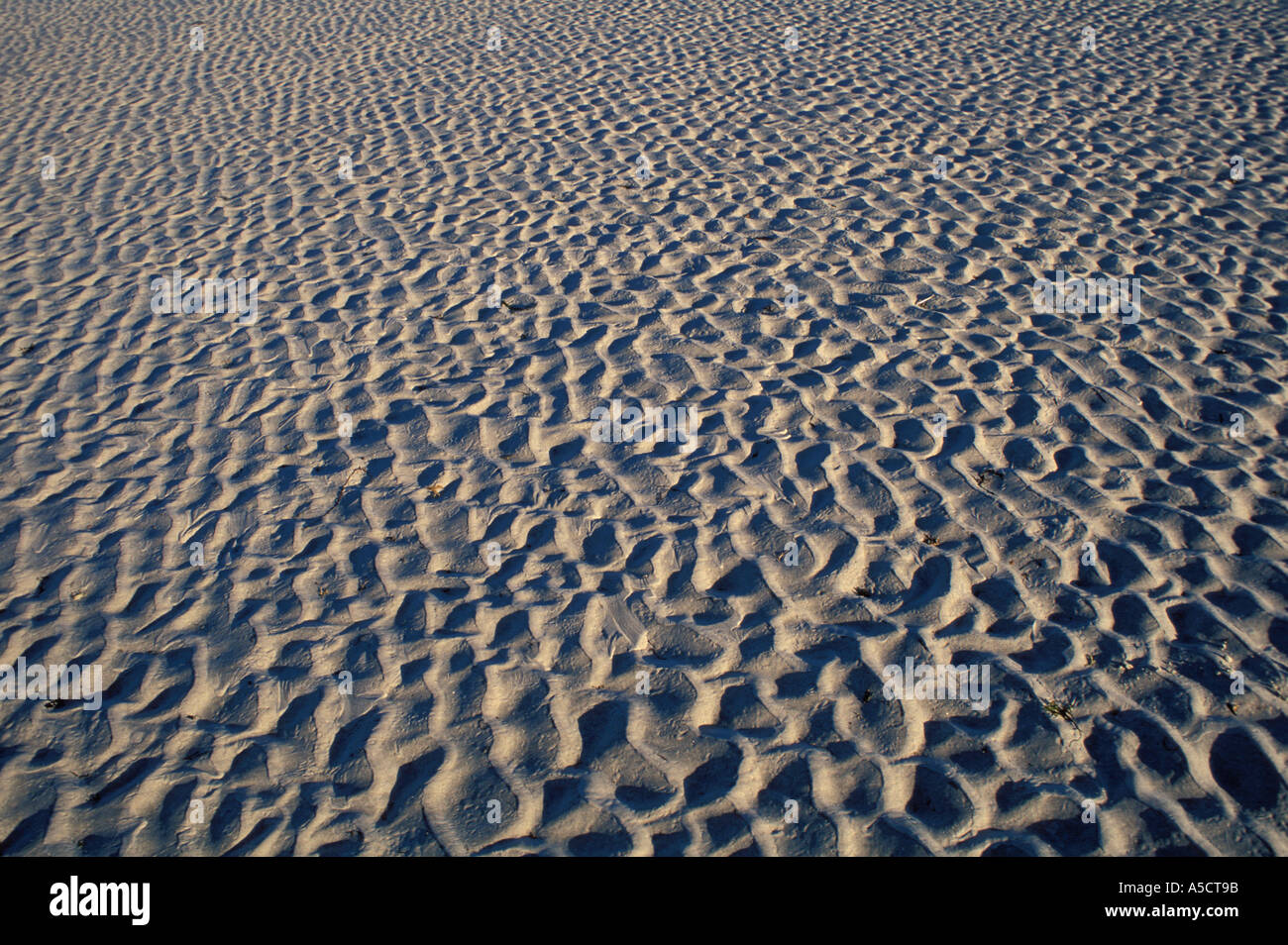Ogunquit ME A tidal marsh on the coast Patterns in the sand Salt Marsh ...