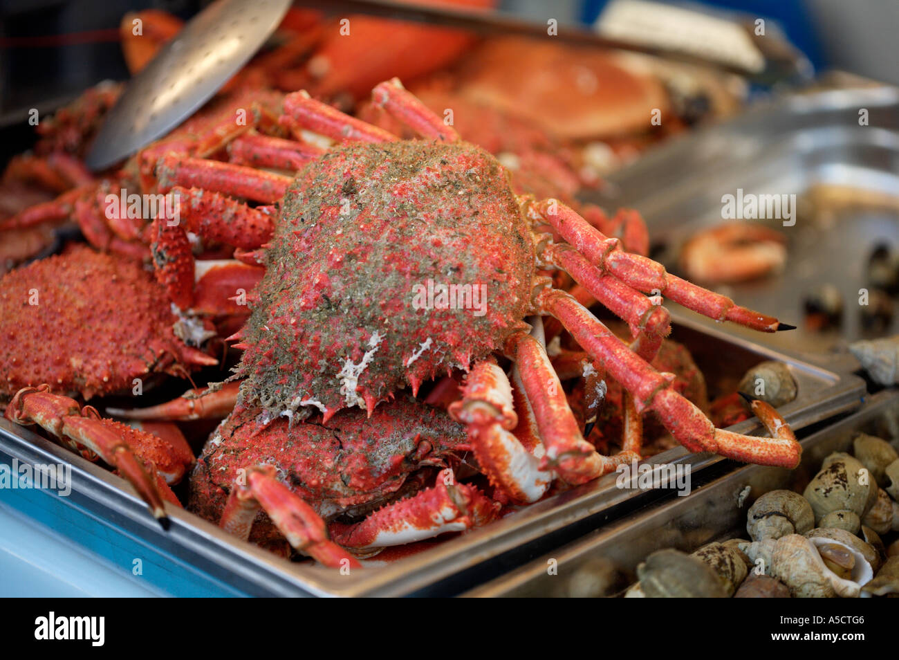 Crabs for sale Stock Photo - Alamy