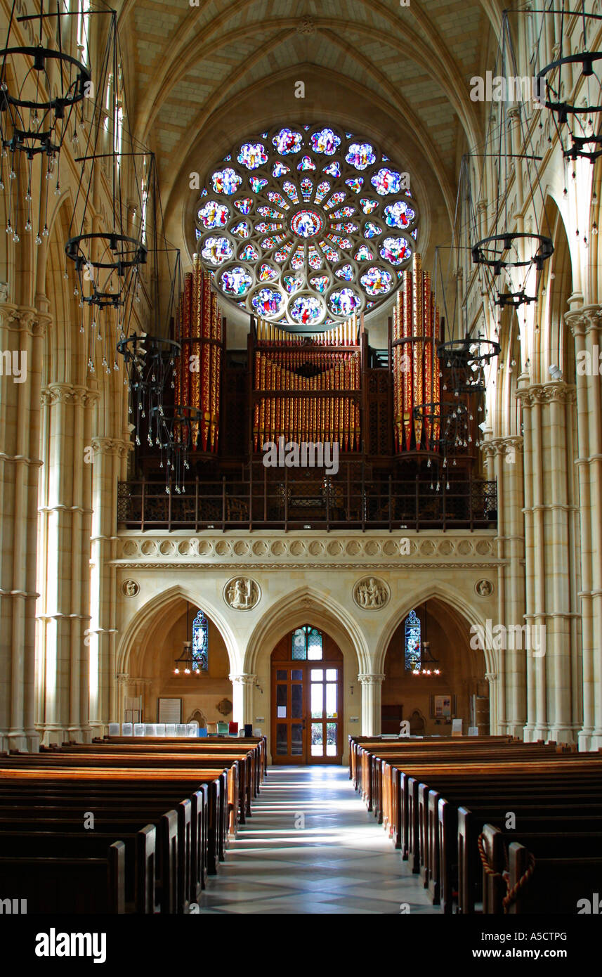 Rose window and organ at Arundel Cathedral, West Sussex, England Stock ...