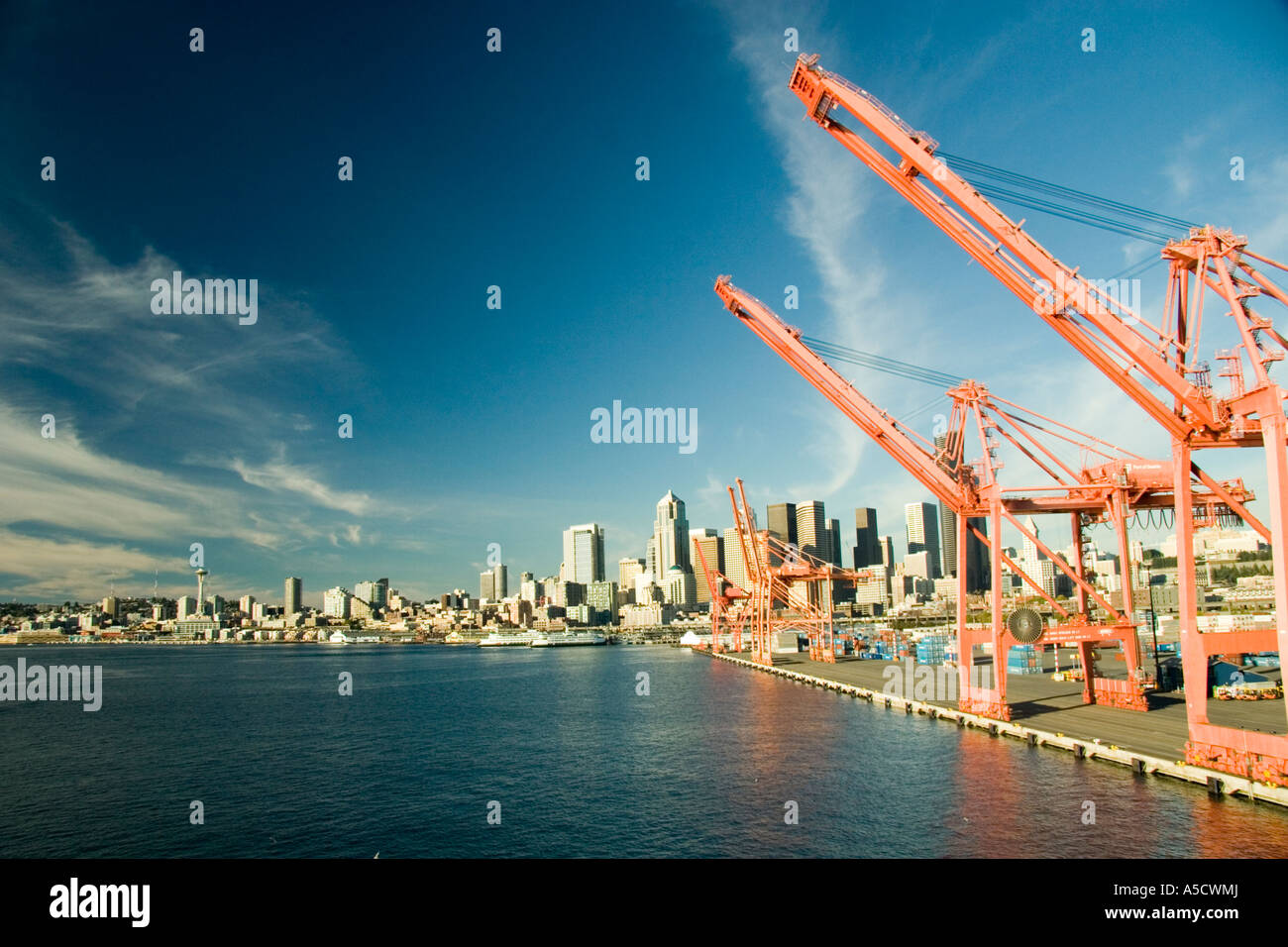 Scenic view of the Seattle port and container loading cranes and the ...