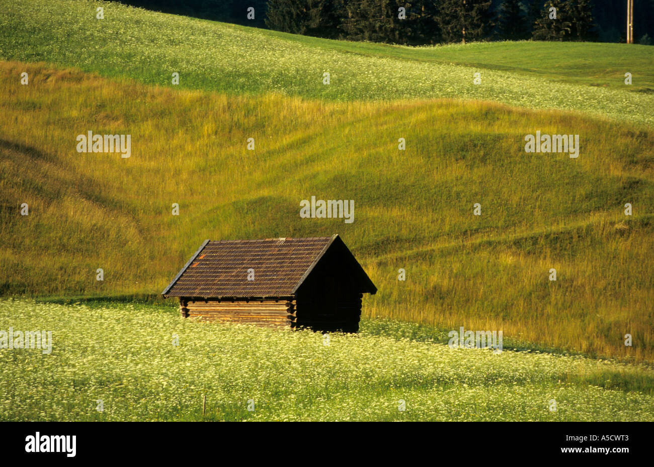 Fields cottages alpine landscape hi-res stock photography and images - Alamy