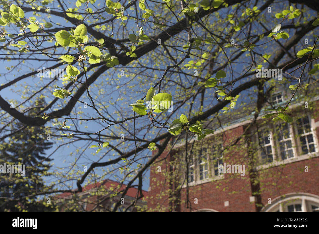Purdue Memorial Union Stock Photo - Alamy