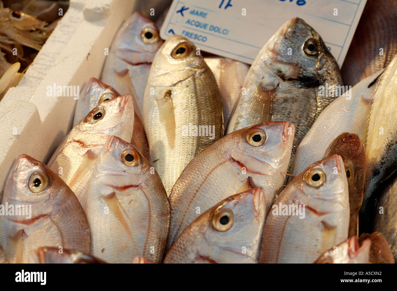 Rome food fish hi-res stock photography and images - Alamy