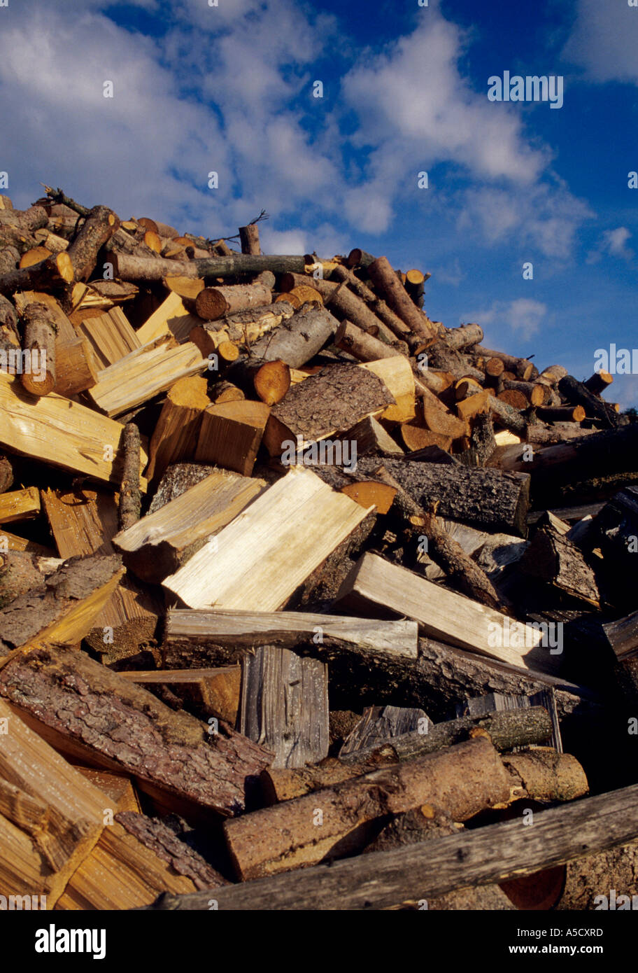 Deforestation images hi-res stock photography and images - Alamy