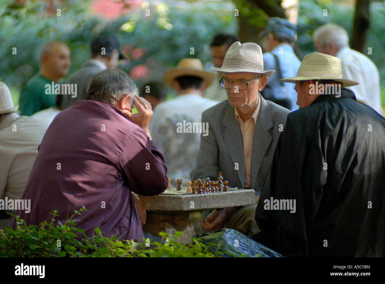 ROMANIA SIBIU. 2007 European Capital of Culture. Chess players in ASTRA ...