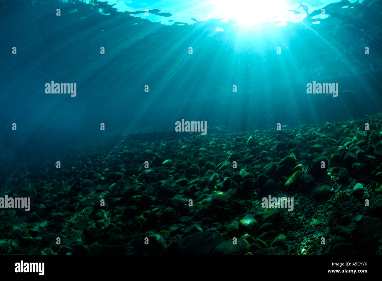 Balmorhea Springs High Resolution Stock Photography and Images - Alamy