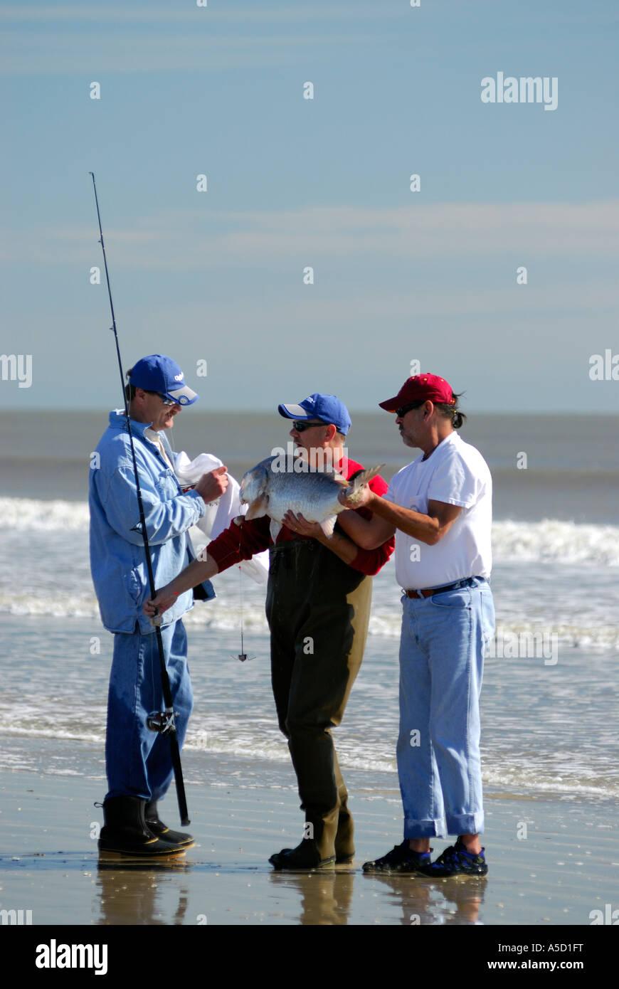 Fisherman catching a big fish in the Gulf of Mexico Stock Photo - Alamy