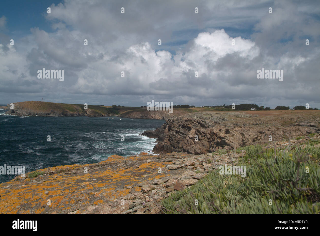 Cliffs on the coast in Belle Ile en Mer, Brittany Stock Photo - Alamy