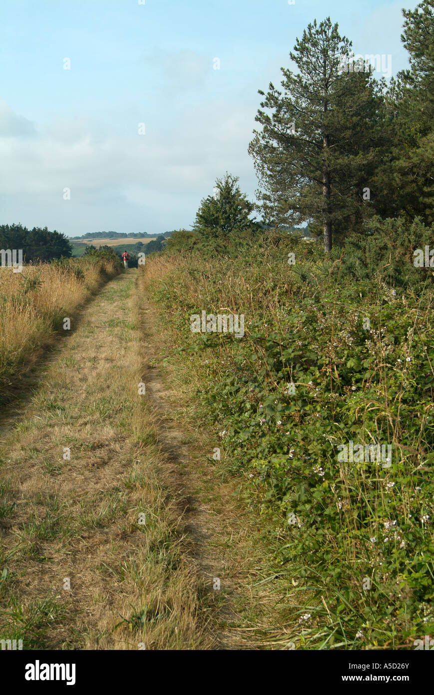 Rural pathway in the country in Belle Ile en Mer Stock Photo - Alamy