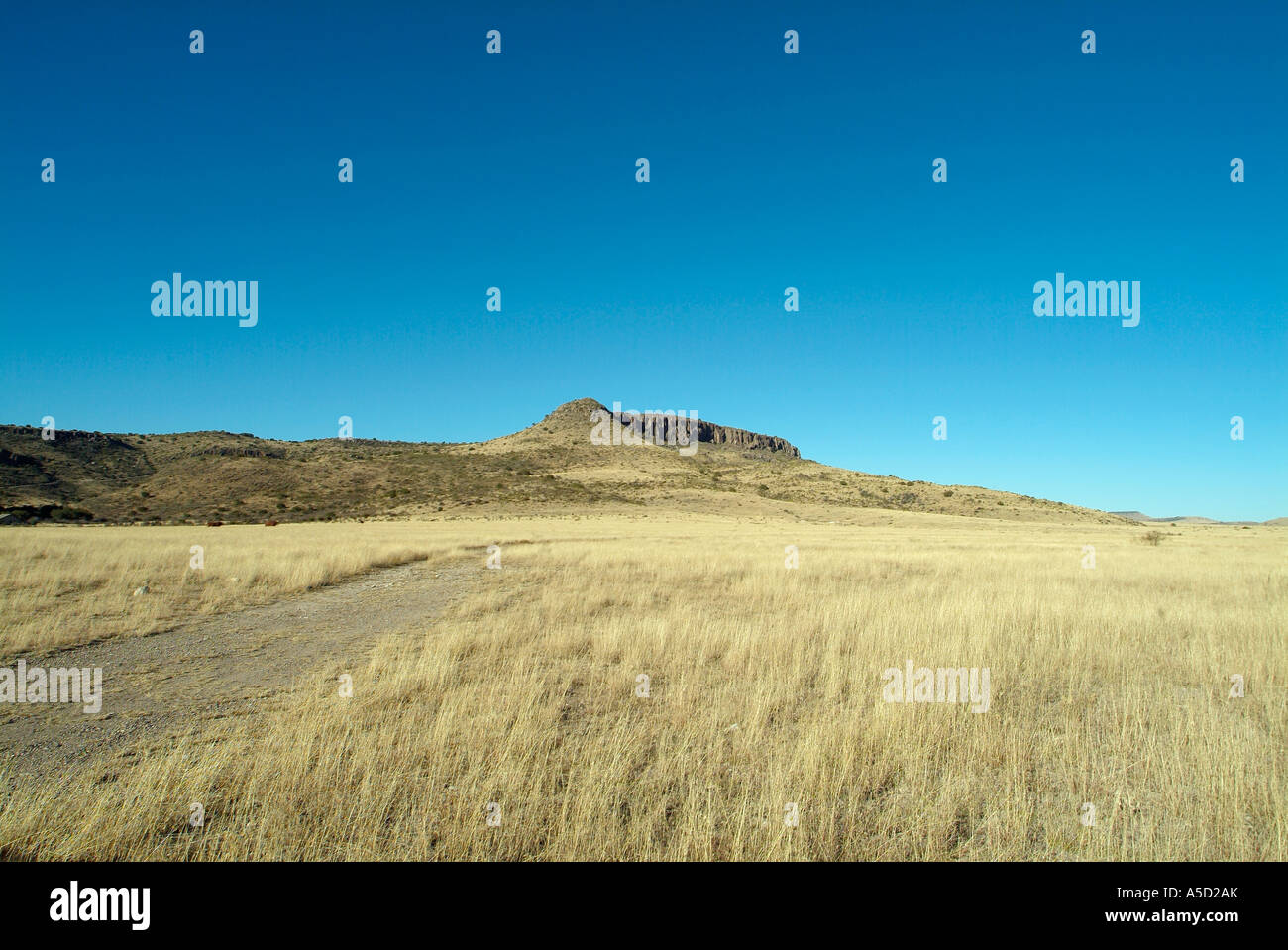 Pecos area in Texas state, USA Stock Photo - Alamy