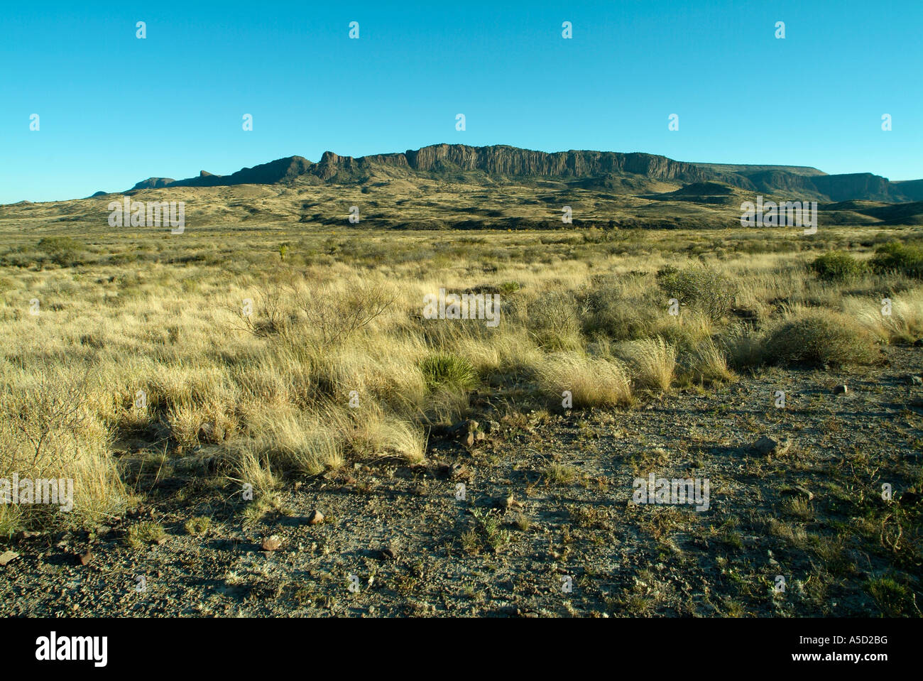 Pecos area in Texas state, USA Stock Photo - Alamy