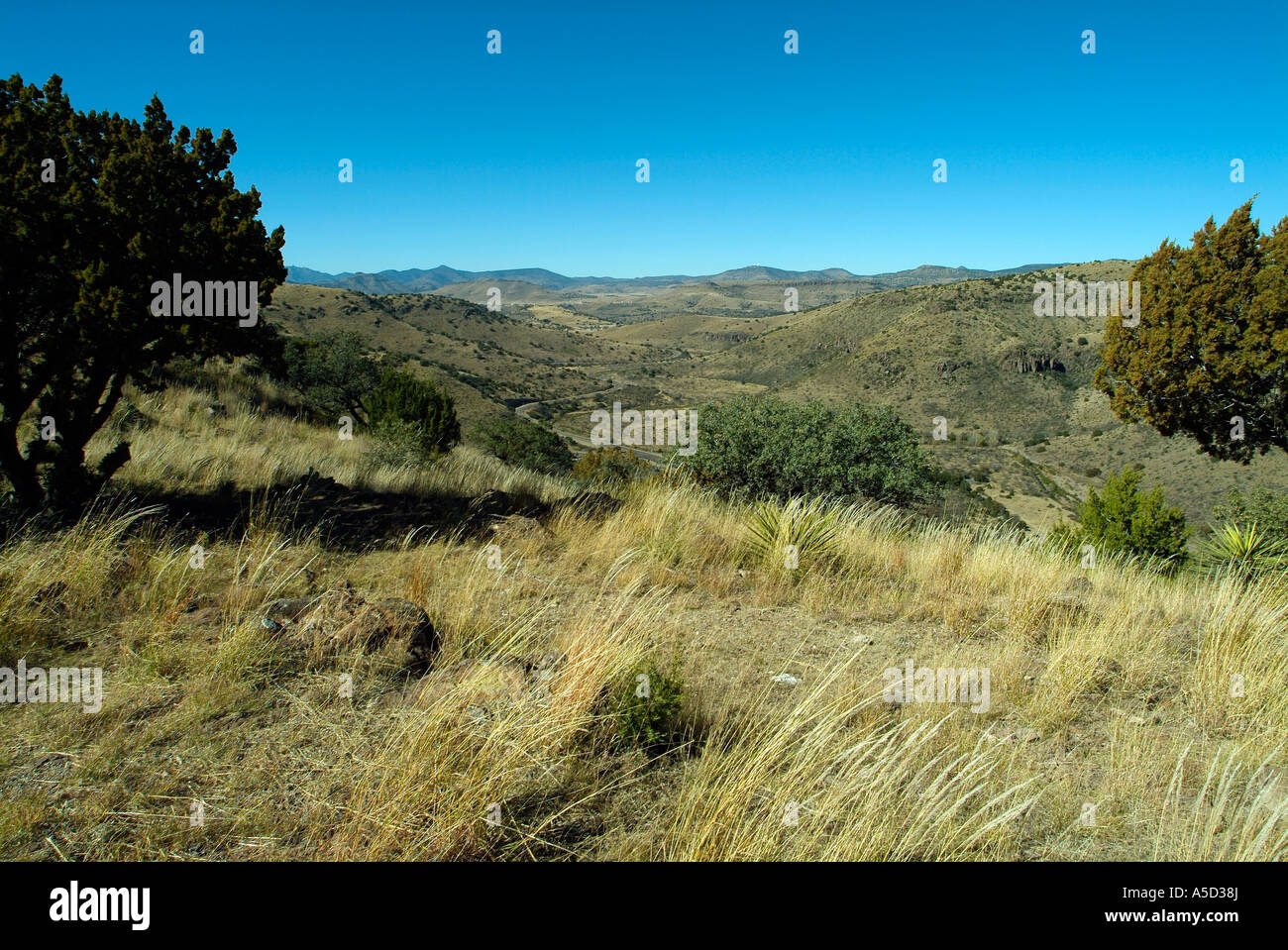 Davis Mountains point of view Stock Photo - Alamy