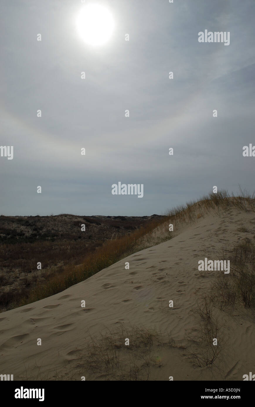 Monahans sandhills hi-res stock photography and images - Alamy