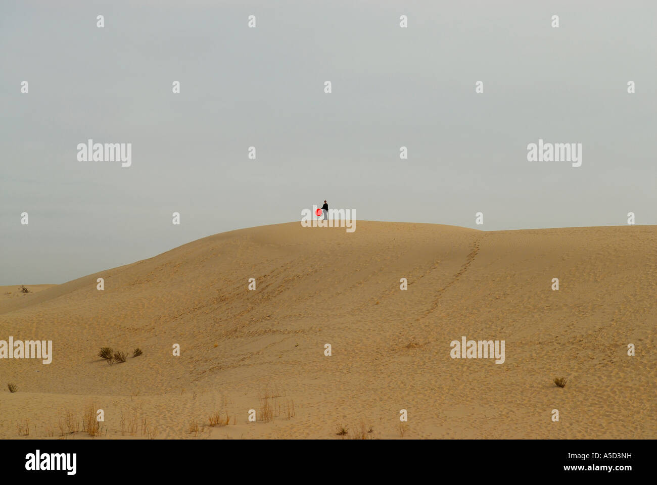 Monahans sandhills state park hi-res stock photography and images - Alamy