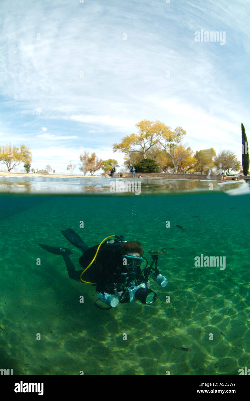 Diver swimming into water in Balmorhea state park in Texas Stock Photo ...