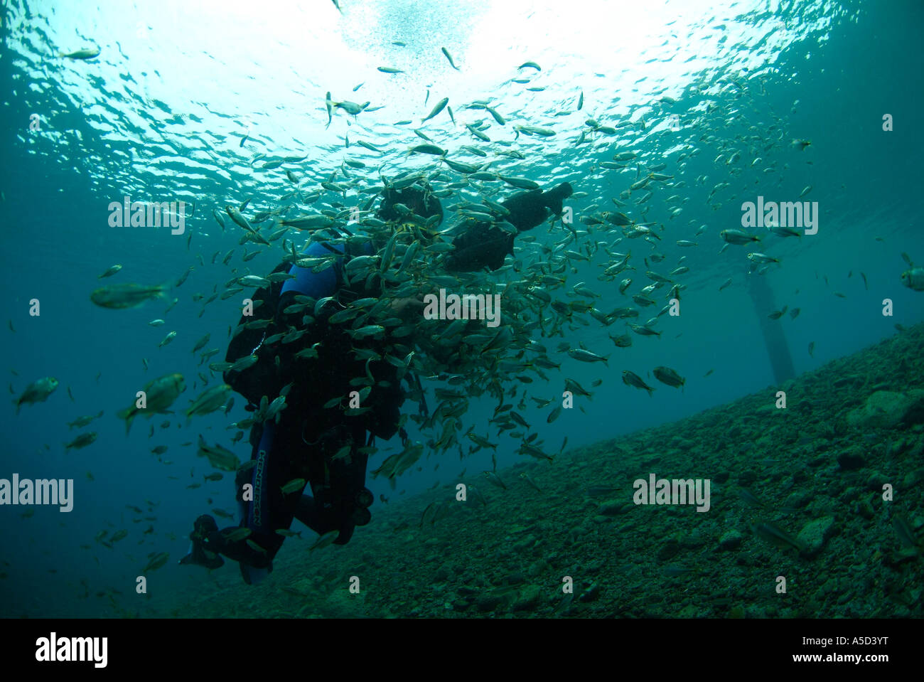 Balmorhea State Park High Resolution Stock Photography and Images - Alamy