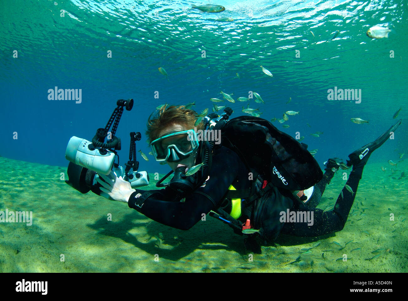 Diver swimming in Balmorhea state park in Texas Stock Photo - Alamy
