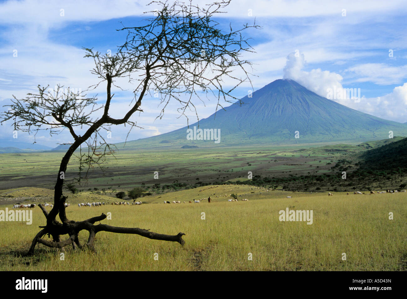 Tanzania Mount Lengai Volcano Stock Photo - Alamy