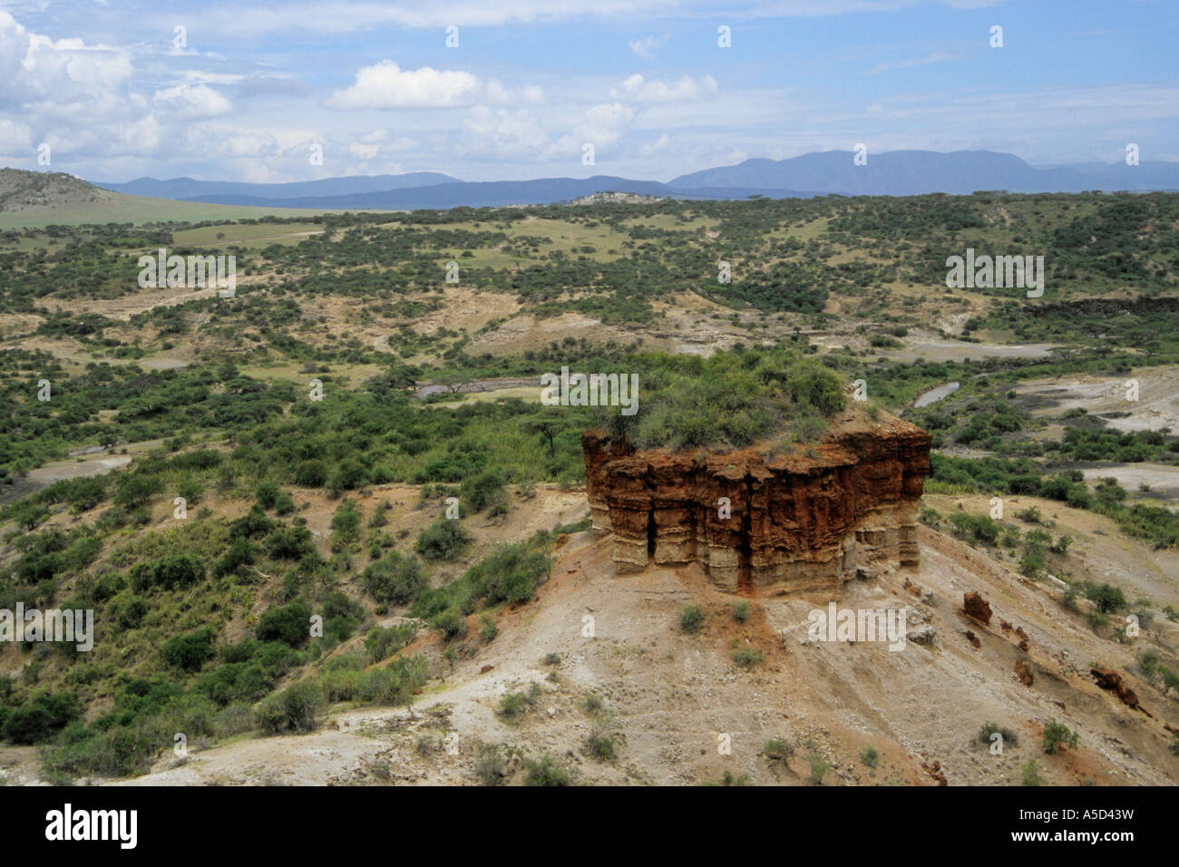 Tanzania Rift Valley Olduvai Gorge Stock Photo - Alamy