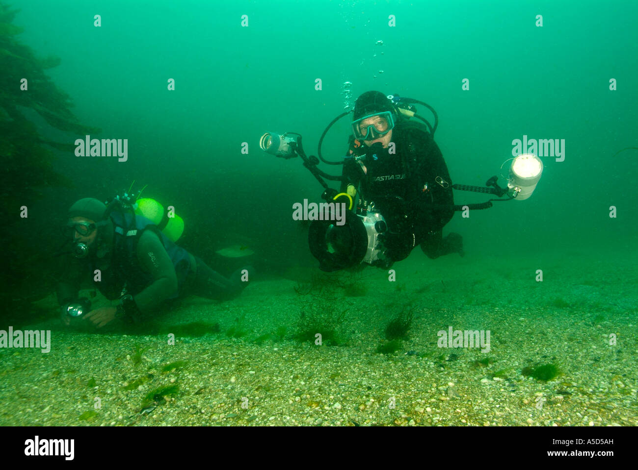 Diver with an underwater camera swimming in Brittany Stock Photo - Alamy