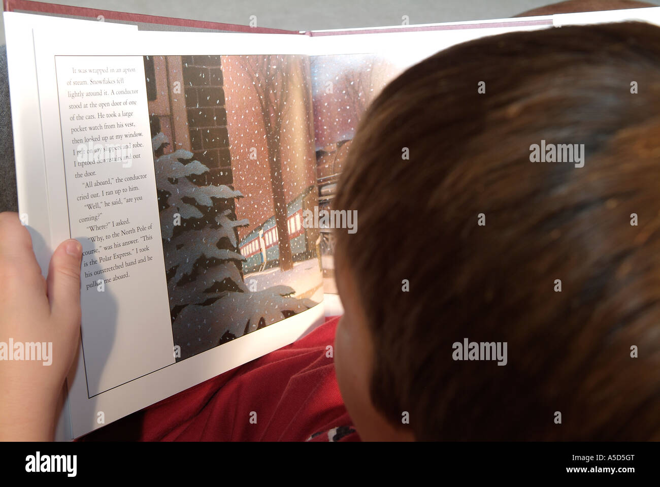 Young boy reading a fairy tale book Stock Photo - Alamy